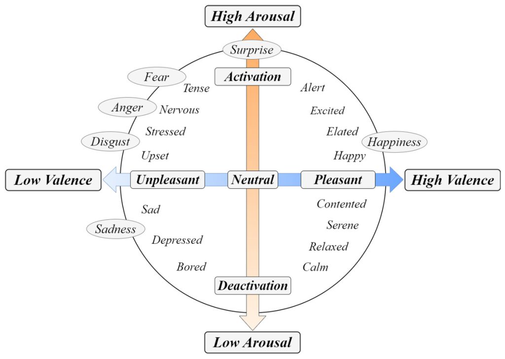 EEG and fNIRS Signal-Based Emotion Identification by Means of Machine ...